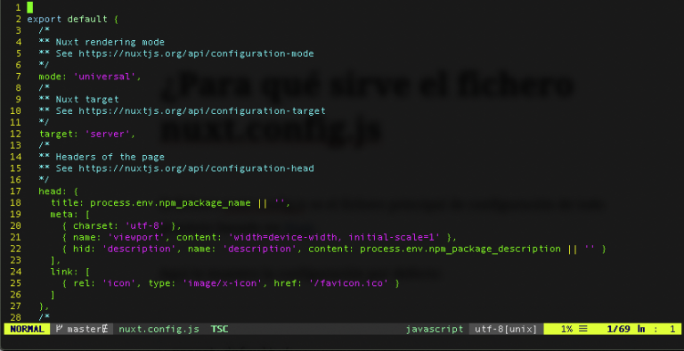 nuxt.config.js, fichero de configuración de Nuxt - Trabajos Geniales